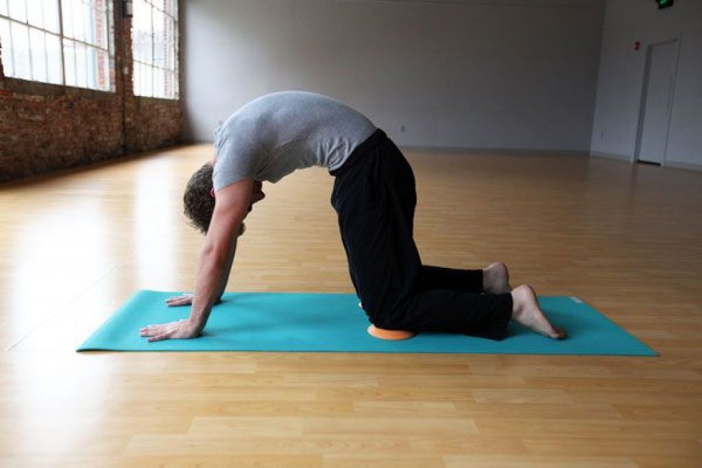 Cat And Camel - The Best Exercise For The Back And Abdominal Muscles — AAFS