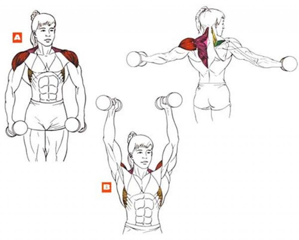How To Do Overhead Dumbbell Lateral Raise — Aafs