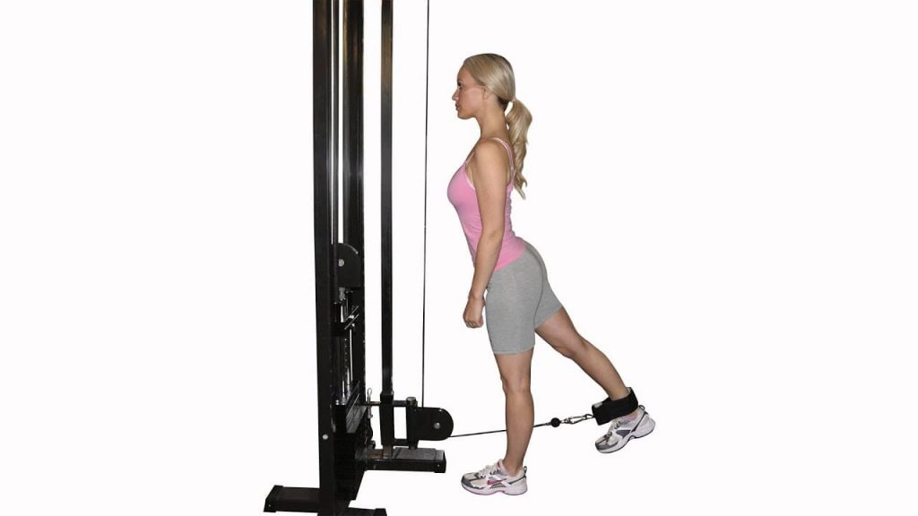Standing Cable Hip Extension — AAFS