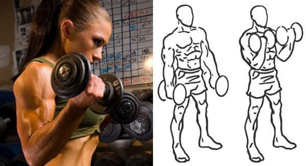 Biceps Workout Supinated Wrist Curl With Dumbbell — Aafs