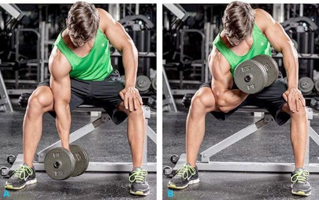 Biceps Workout - Dumbbell Concentration Curl — AAFS