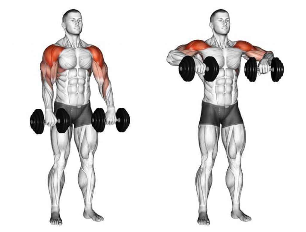 Intense Shoulder Workout - Dumbbell Upright Rows — AAFS