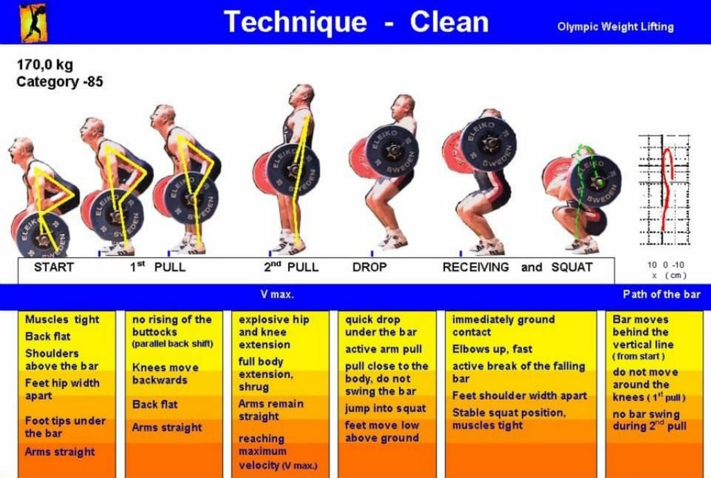 The Snatch And Clean With The Barbell. Weightlifting Exercises — AAFS