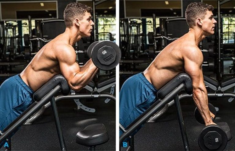 Features Of Spider Curls For Biceps And Brachialis — AAFS