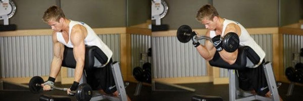 Features Of Spider Curls For Biceps And Brachialis — AAFS